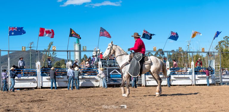 Rodeo